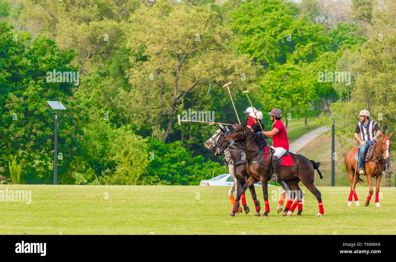 Players playing a polo match in a polo ground on a green field Stock ...