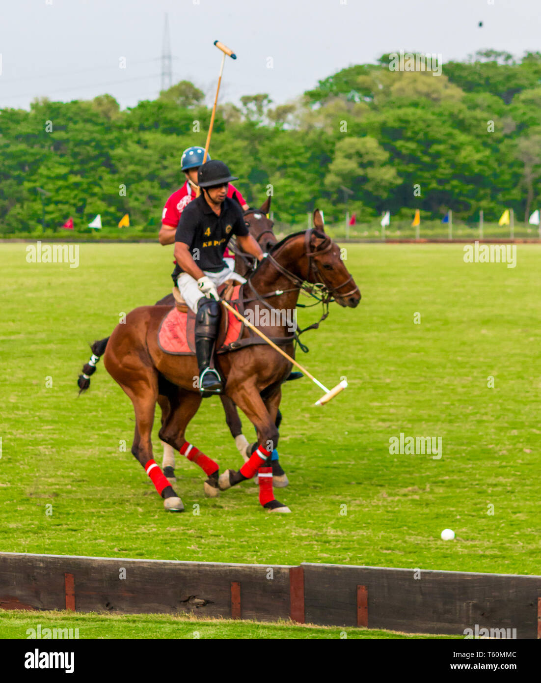 Players playing a polo match in a polo ground on a green field Stock ...