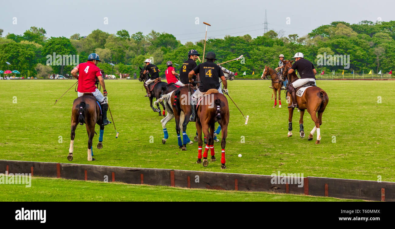 Players playing a polo match in a polo ground on a green field Stock ...