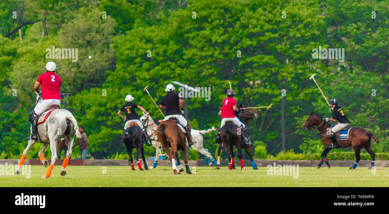 Players playing a polo match in a polo ground on a green field Stock ...