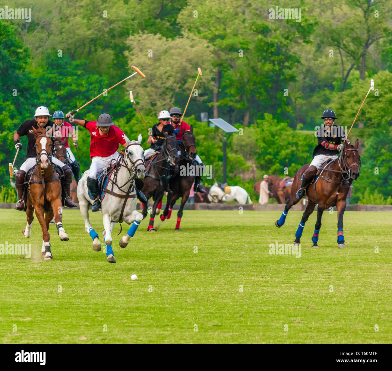 Polo match hi-res stock photography and images - Alamy