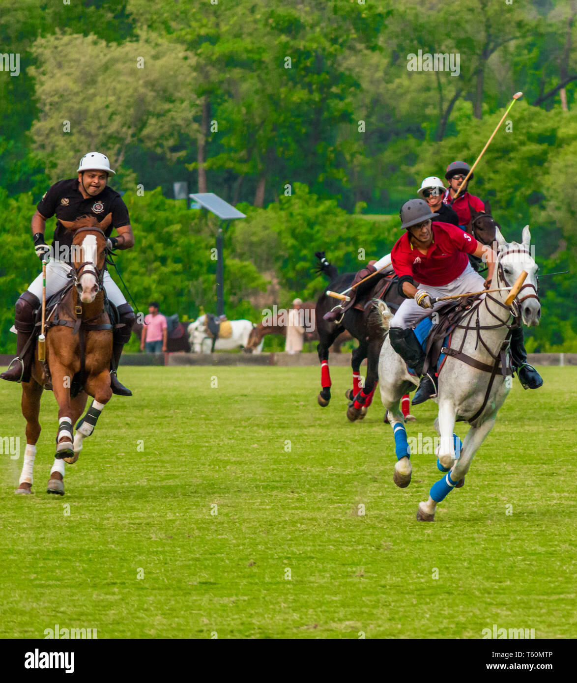 Players playing a polo match in a polo ground on a green field Stock ...