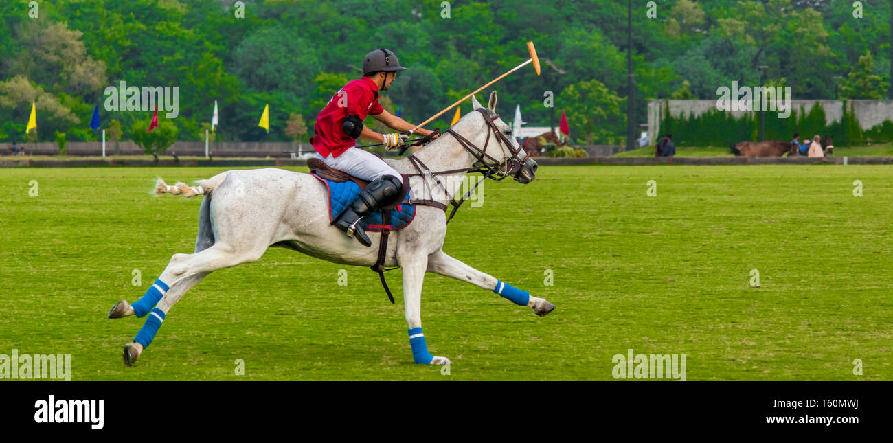 Players playing a polo match in a polo ground on a green field Stock ...