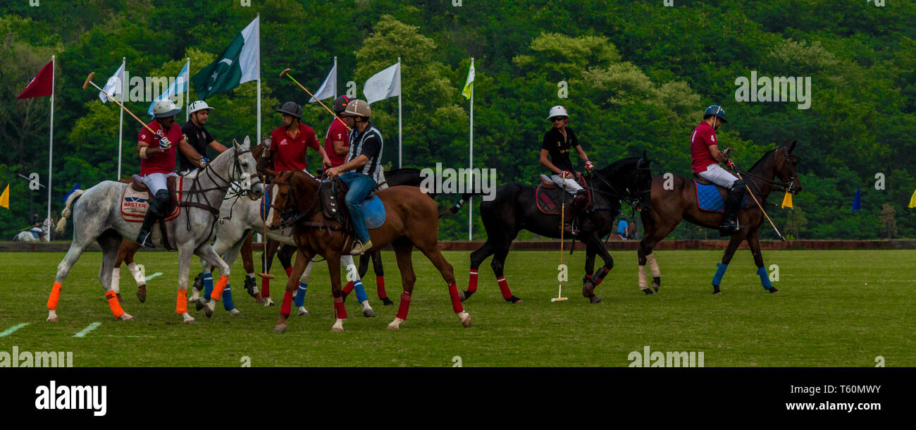 Players playing a polo match in a polo ground on a green field Stock ...