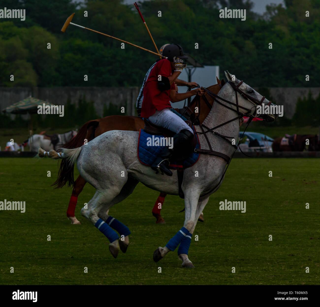 Players playing a polo match in a polo ground on a green field Stock ...