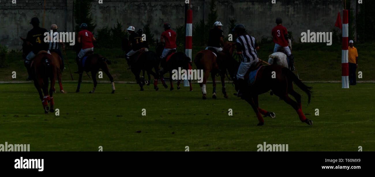 Players playing a polo match in a polo ground on a green field Stock ...