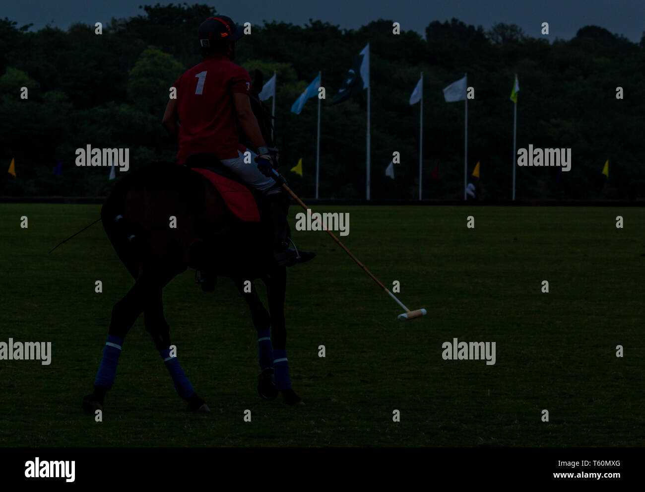 Players playing a polo match in a polo ground on a green field Stock ...