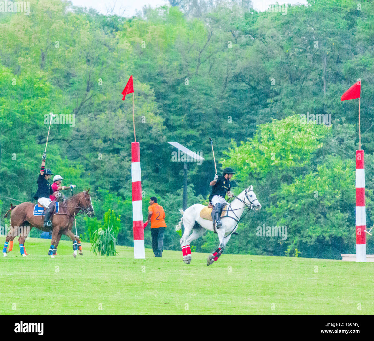 Players playing a polo match in a polo ground on a green field Stock ...