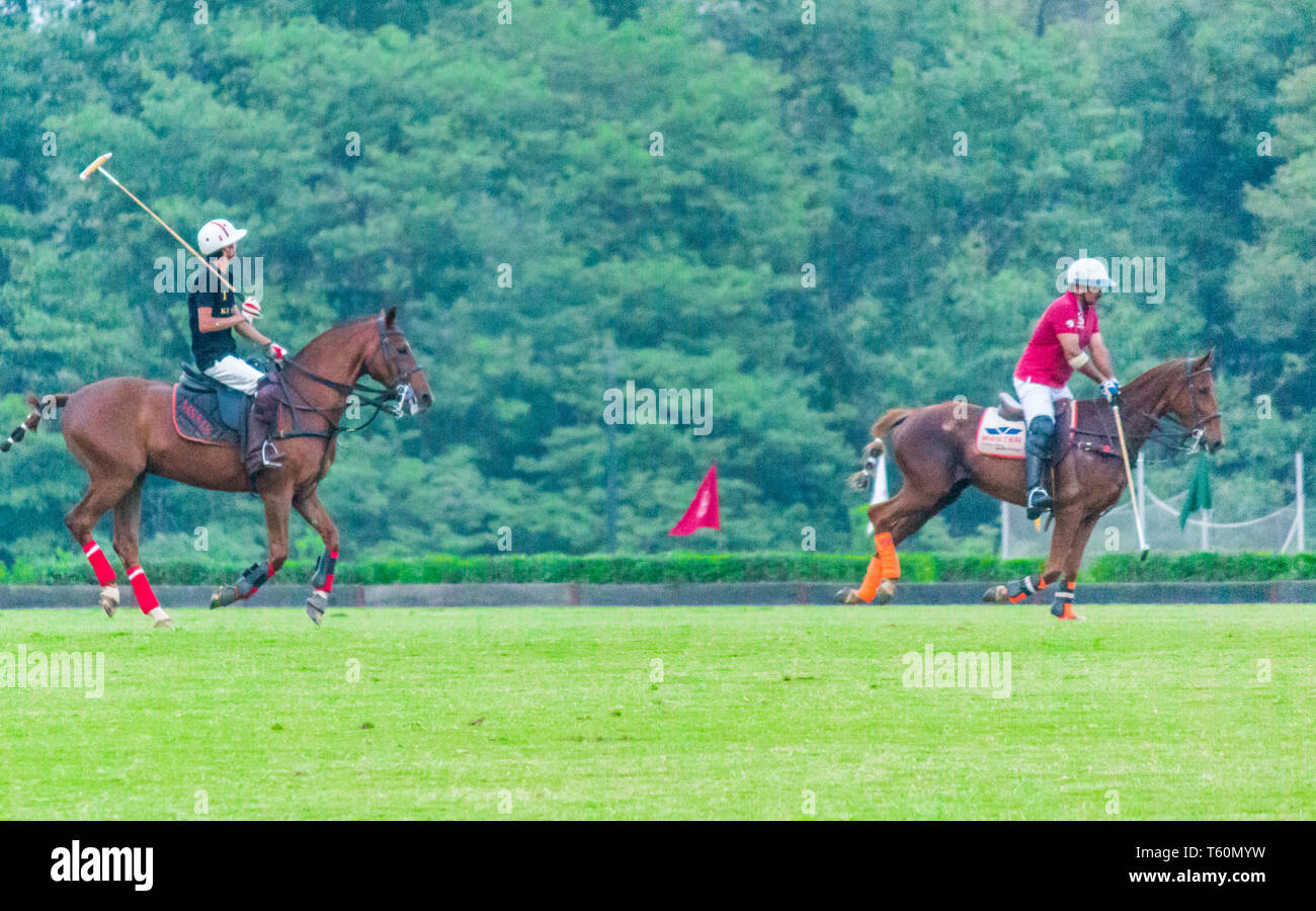 Players playing a polo match in a polo ground on a green field Stock ...