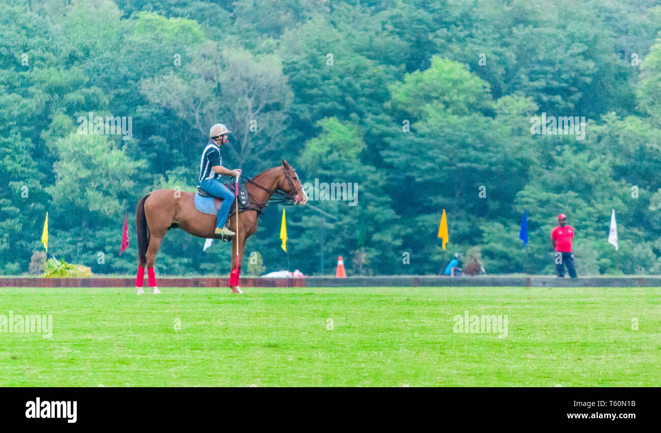 Players playing a polo match in a polo ground on a green field Stock ...
