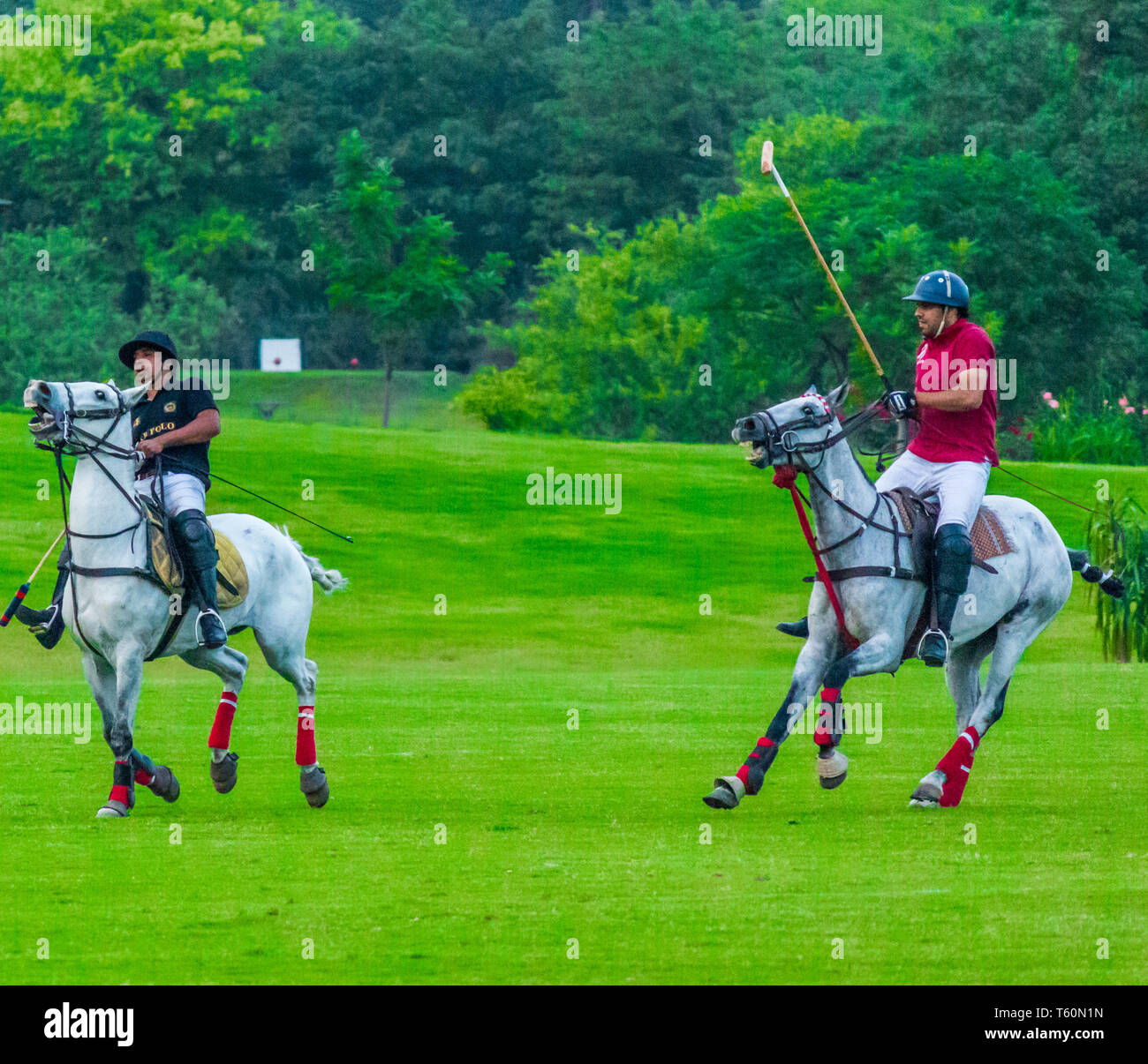 Players playing a polo match in a polo ground on a green field Stock ...