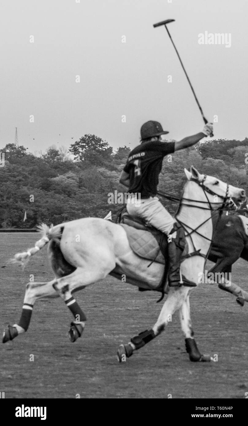 Players playing a polo match in a polo ground on a green field Stock ...