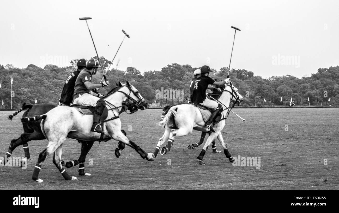 Equestrian polo player Black and White Stock Photos & Images - Alamy