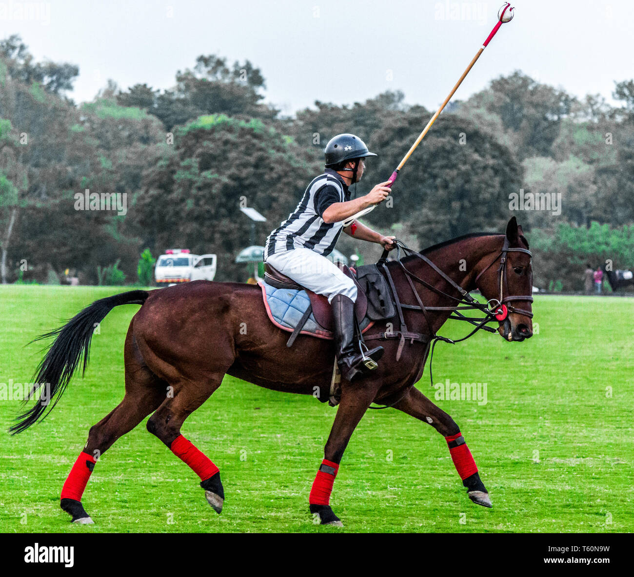 Players playing a polo match in a polo ground on a green field Stock ...