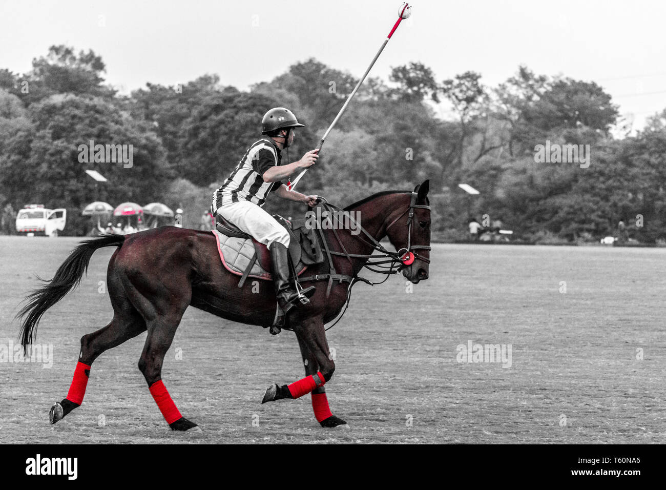 Players playing a polo match in a polo ground on a green field Stock ...