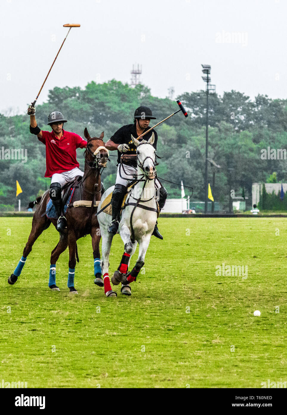 Players playing a polo match in a polo ground on a green field Stock ...