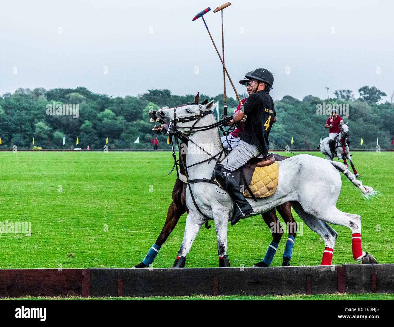 Players playing a polo match in a polo ground on a green field Stock ...