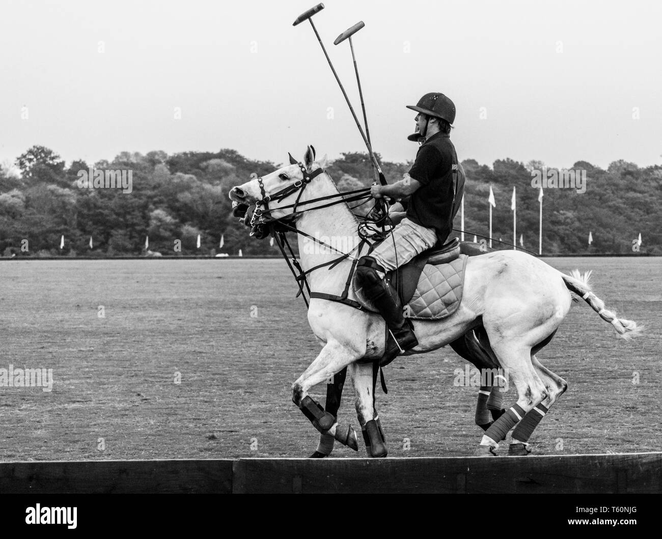 Players playing a polo match in a polo ground on a green field Stock ...