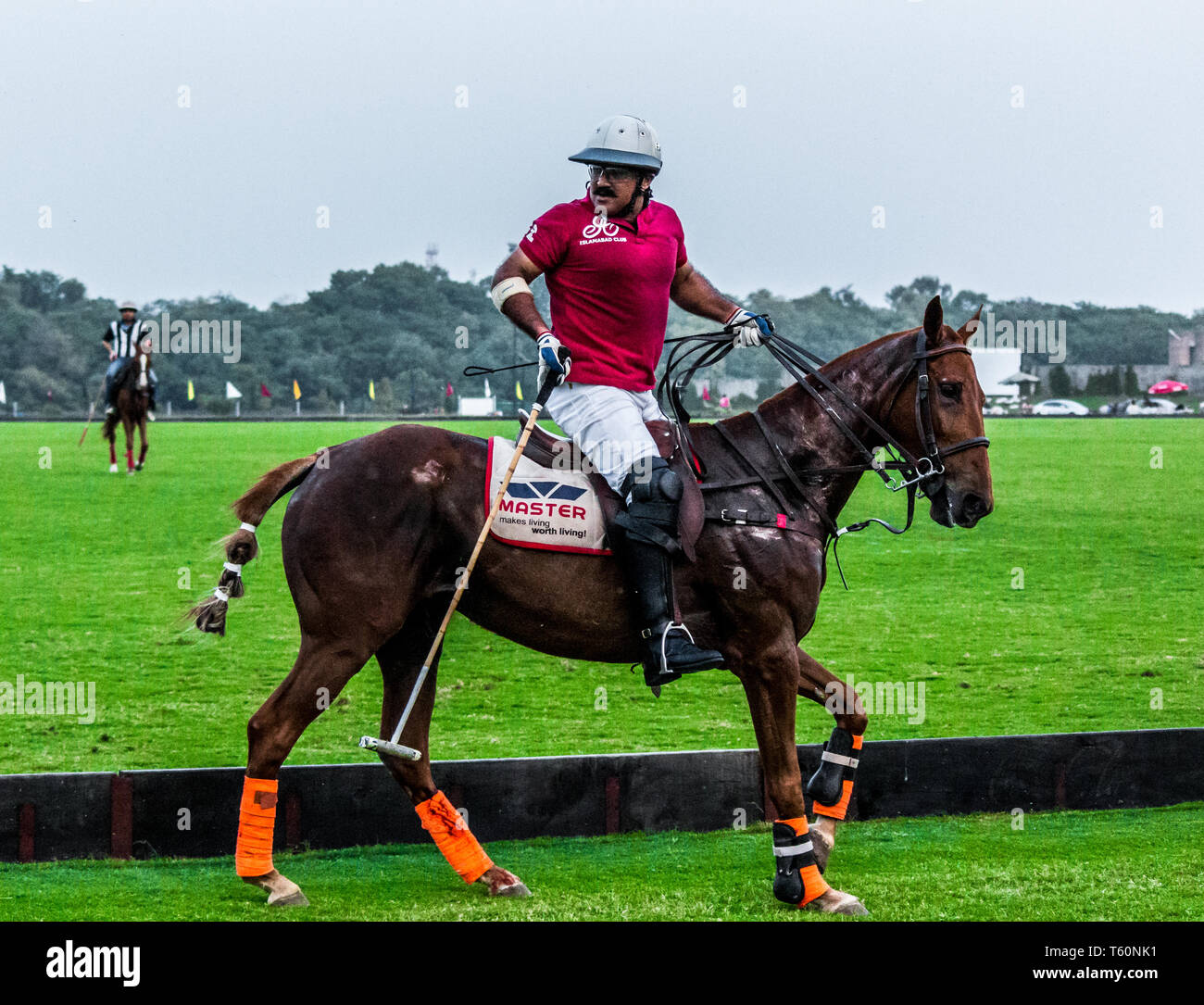 Players playing a polo match in a polo ground on a green field Stock ...