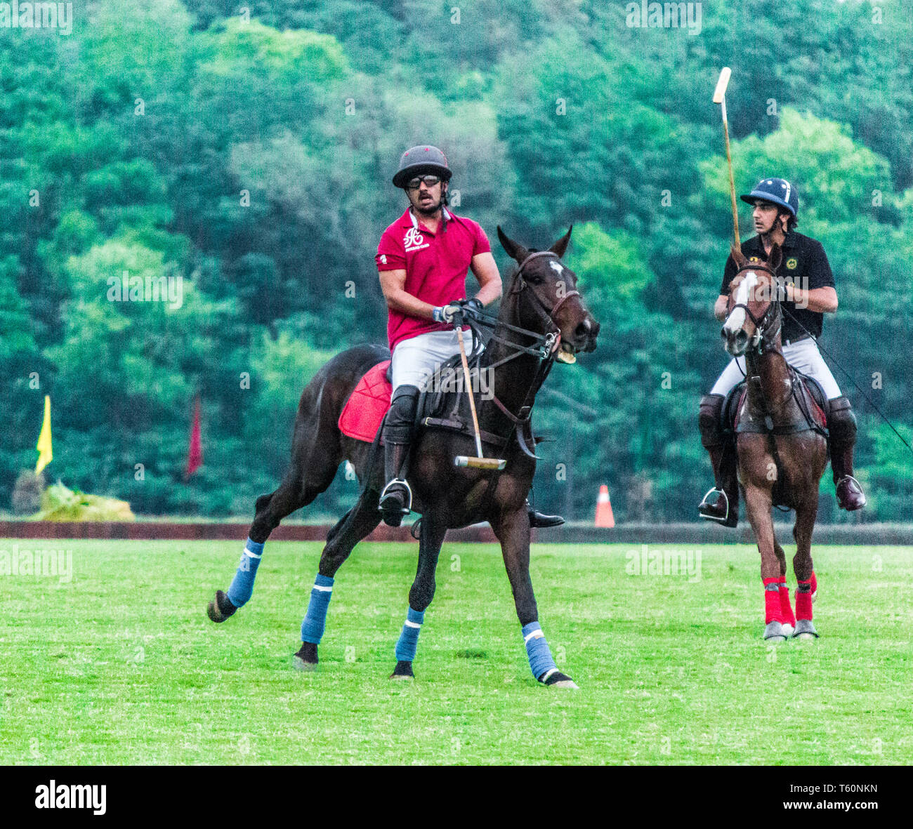 Players playing a polo match in a polo ground on a green field Stock ...