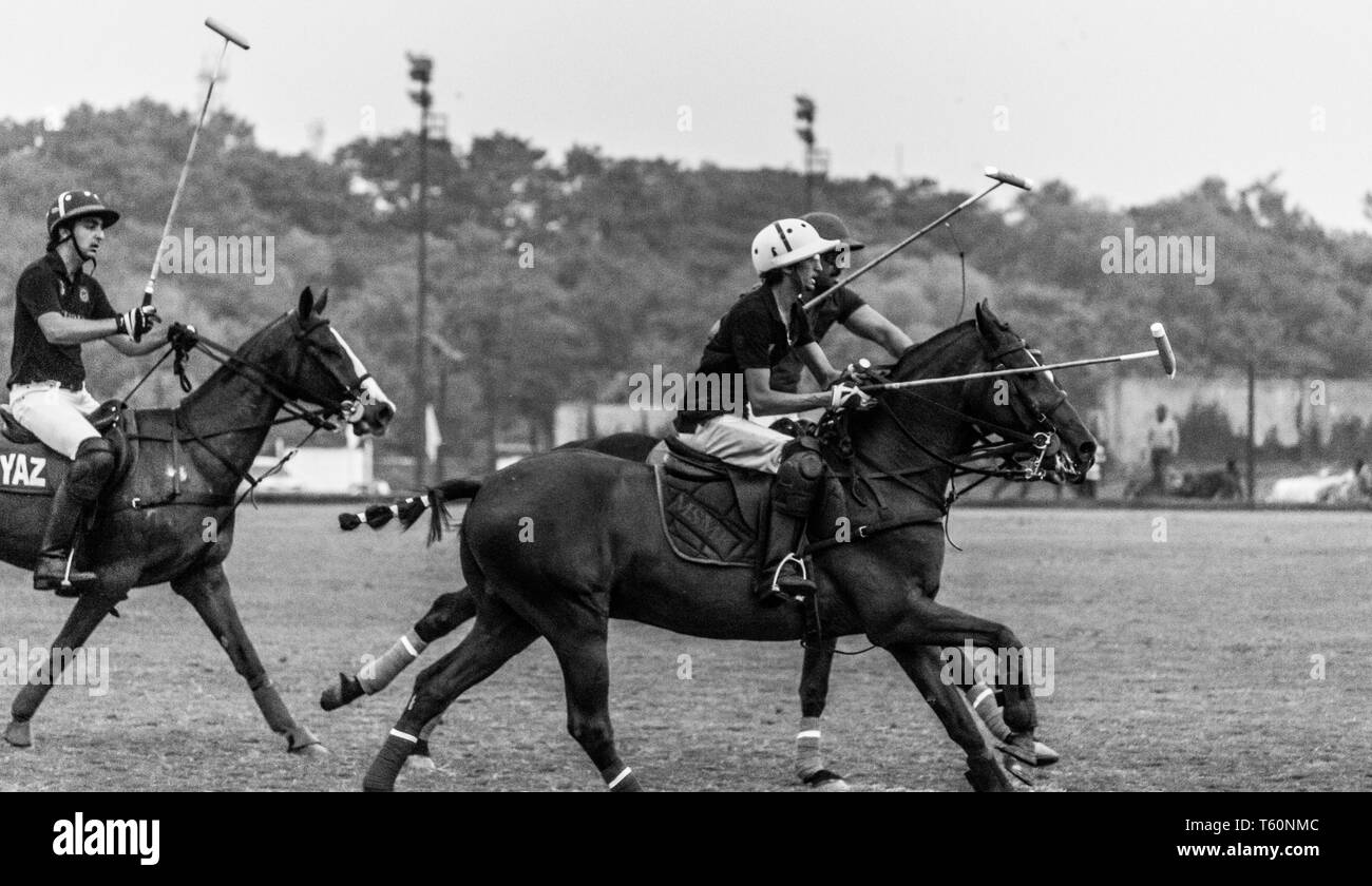 Players playing a polo match in a polo ground on a green field Stock ...