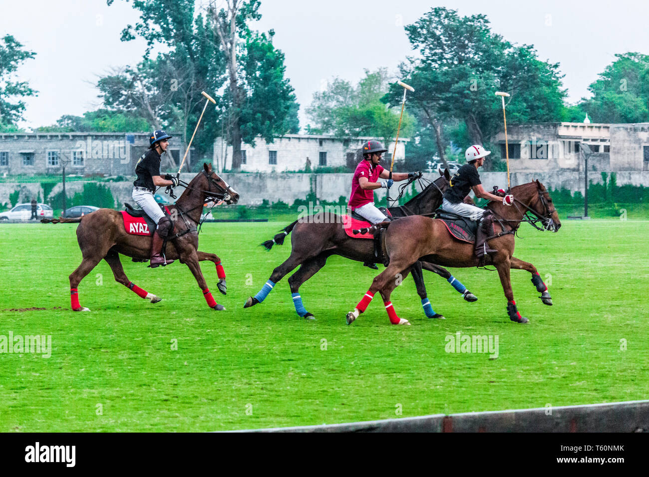 Players playing a polo match in a polo ground on a green field Stock ...