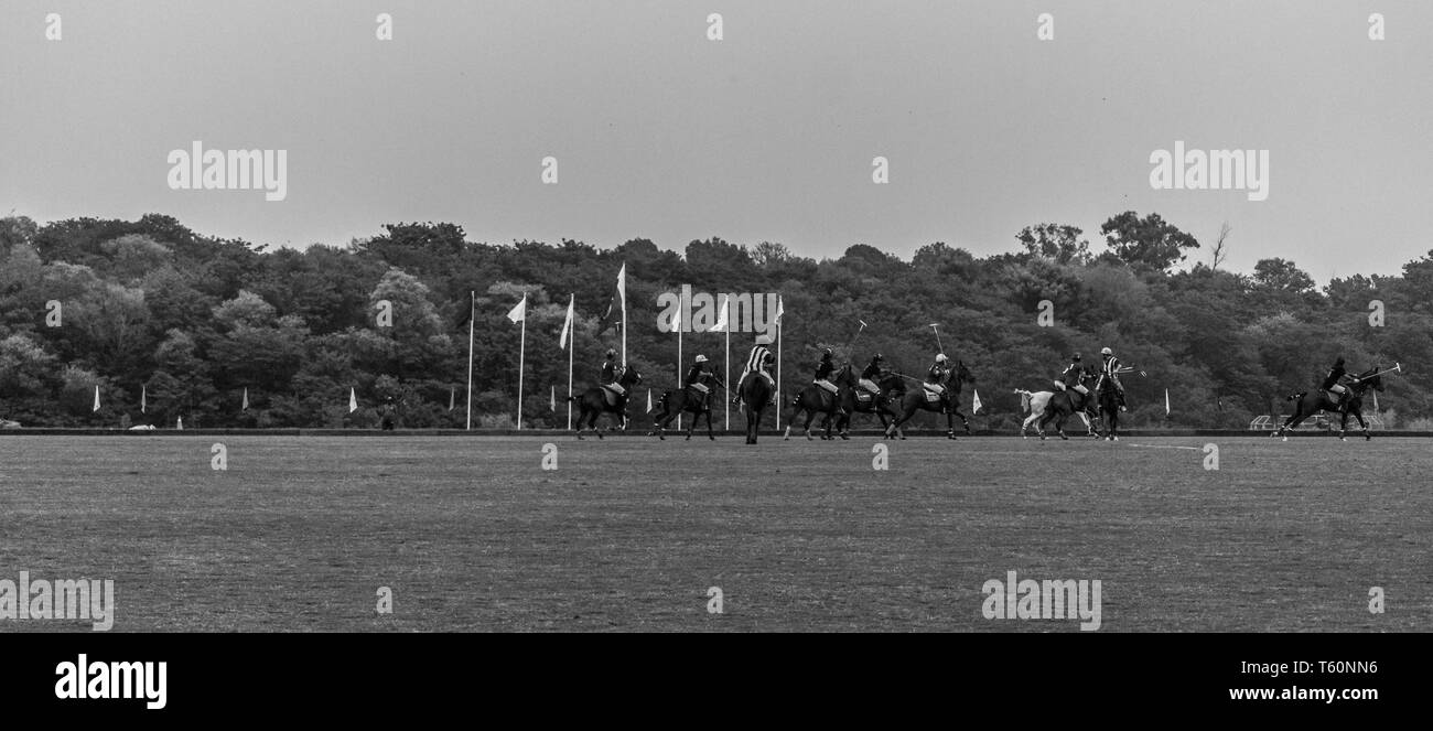 Equestrian polo player Black and White Stock Photos & Images - Alamy