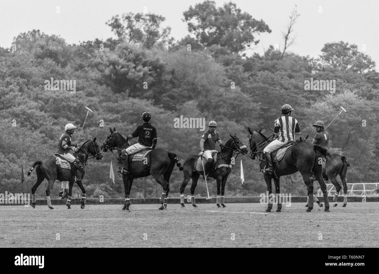 Players playing a polo match in a polo ground on a green field Stock ...