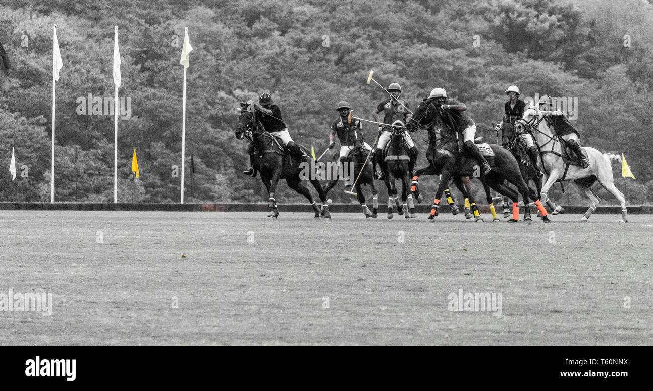 Players playing a polo match in a polo ground on a green field Stock ...