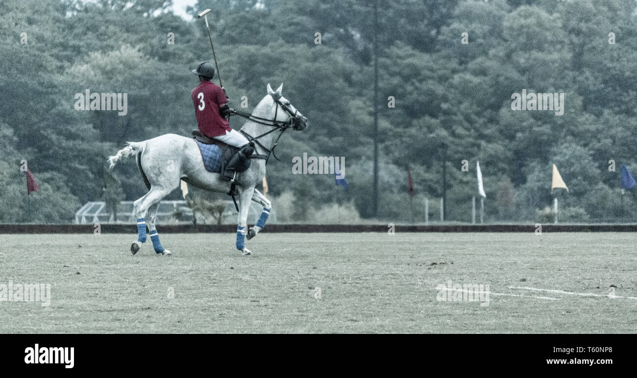 Players playing a polo match in a polo ground on a green field Stock ...