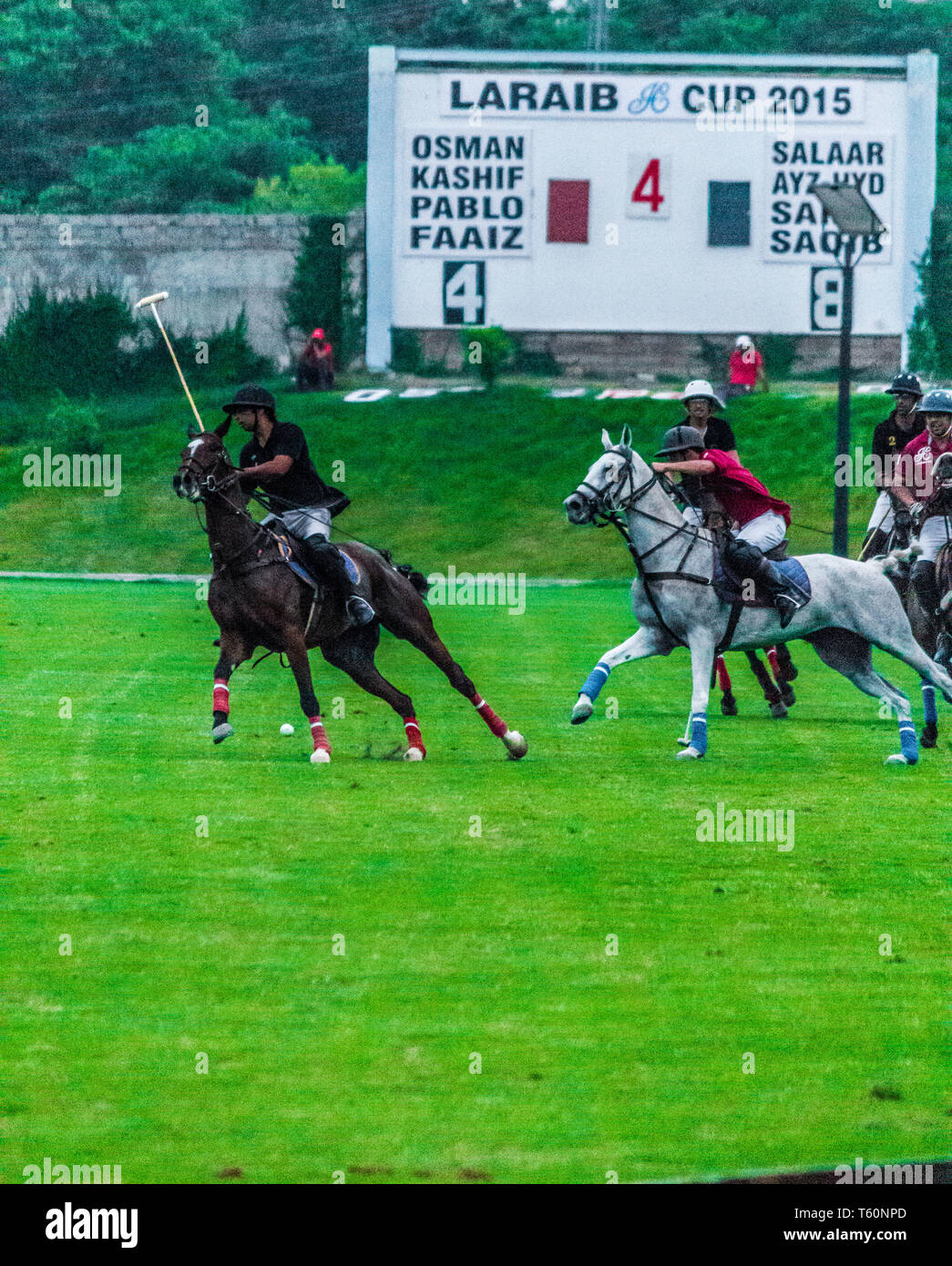 Players playing a polo match in a polo ground on a green field Stock ...
