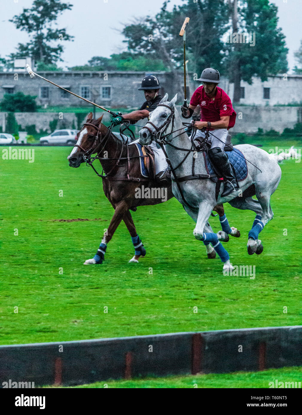 Players playing a polo match in a polo ground on a green field Stock ...