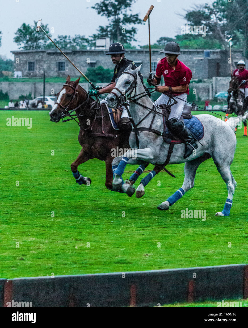 Players playing a polo match in a polo ground on a green field Stock ...