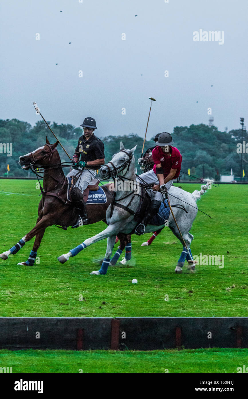Players playing a polo match in a polo ground on a green field Stock ...