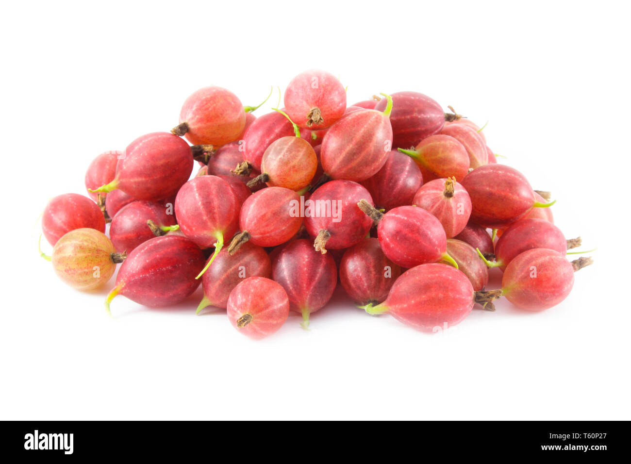 Growing red ripe gooseberries close hi-res stock photography and images ...