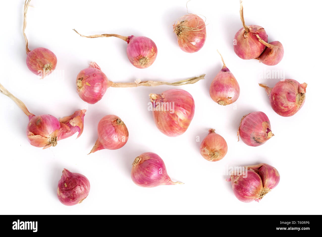 Red shallots Cut Out Stock Images & Pictures - Alamy