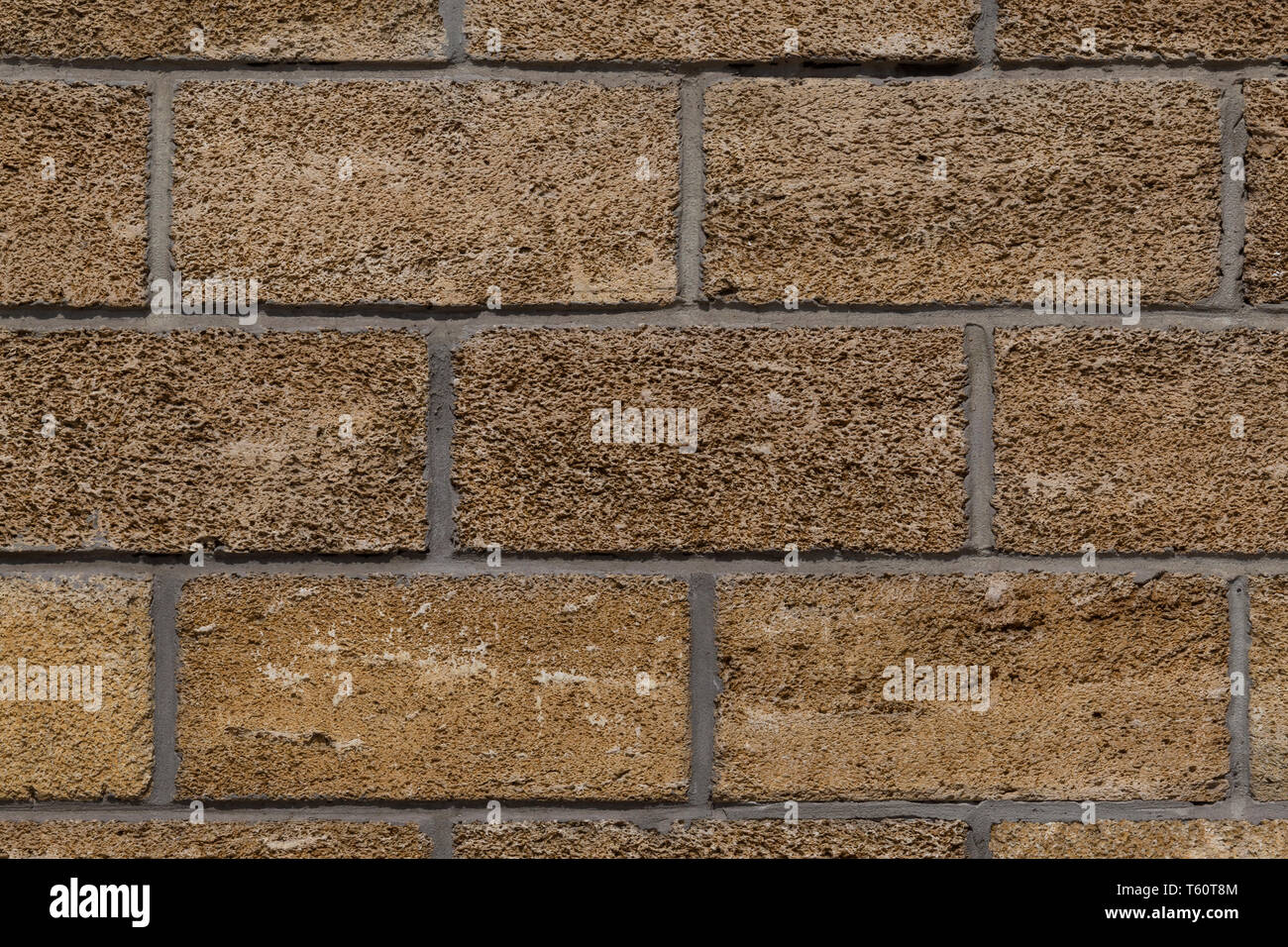 Shell rock hi-res stock photography and images - Alamy