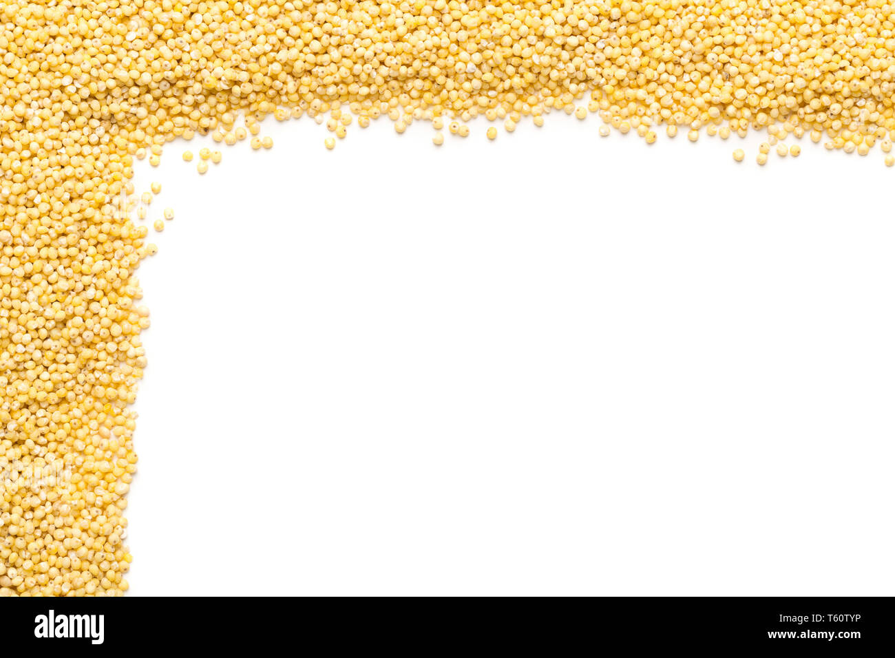 Golden millet, a gluten free grain seed, border over white background ...
