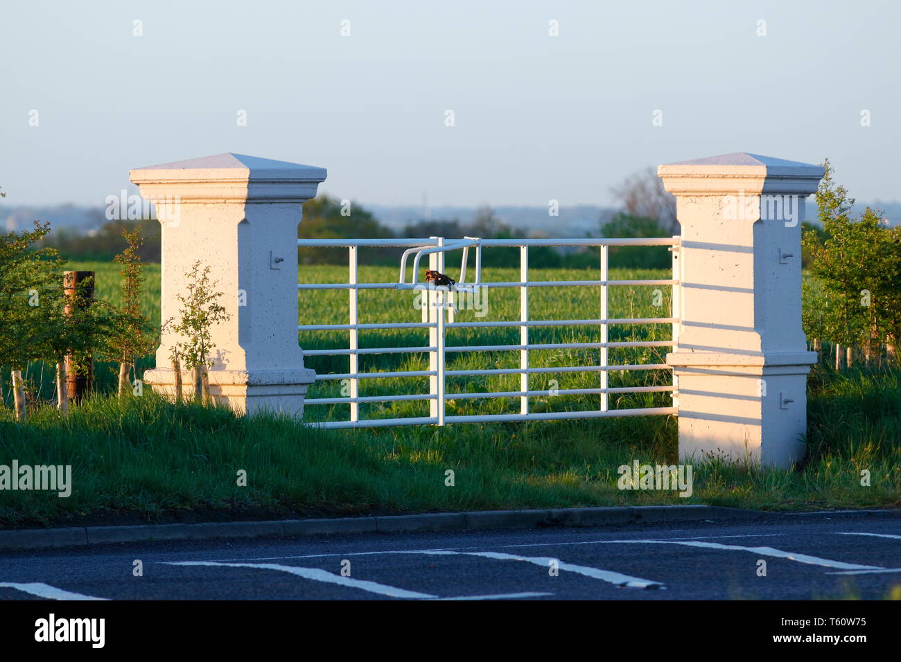 Gates in a field hi-res stock photography and images - Alamy