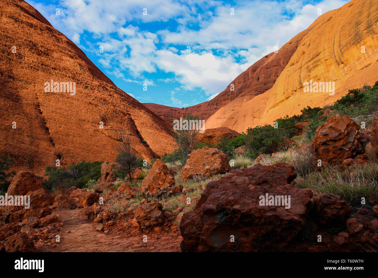 Valley in the Kata Tjuta National Park with Desert Bushland in the Red ...