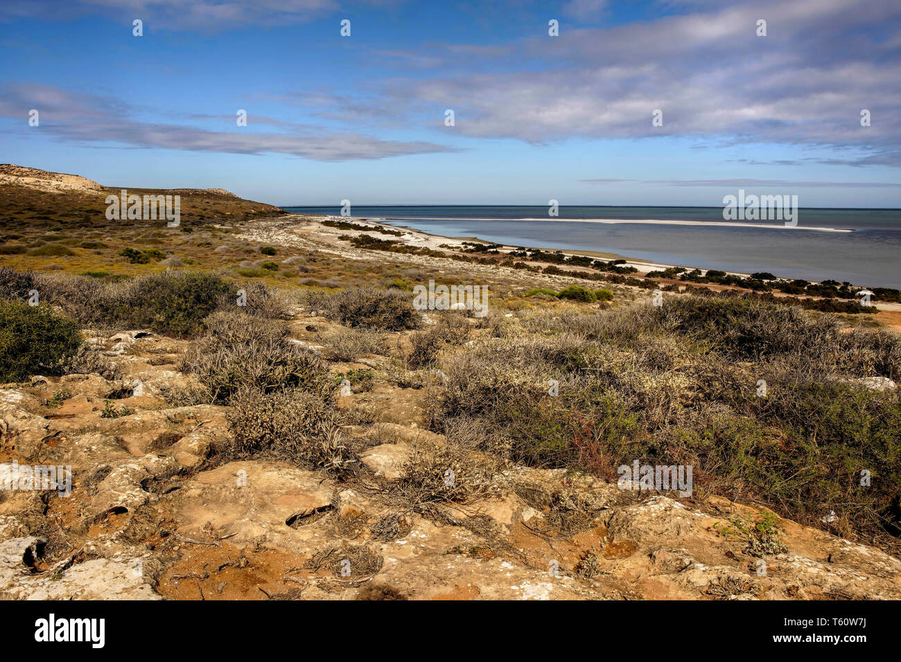 View from Denham Lookout in Western Australia Stock Photo - Alamy