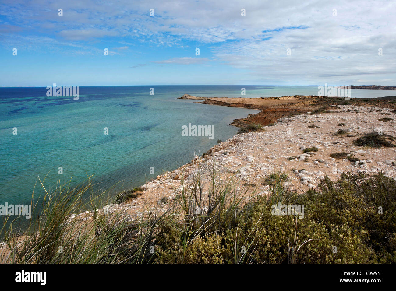 Shark bay aerial australia hi-res stock photography and images - Alamy