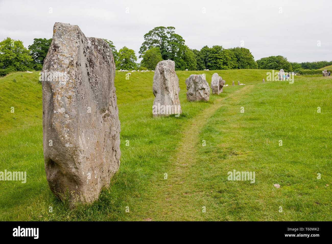 Details of stones in the Prehistoric Avebury Stone Circle, Wiltshire ...
