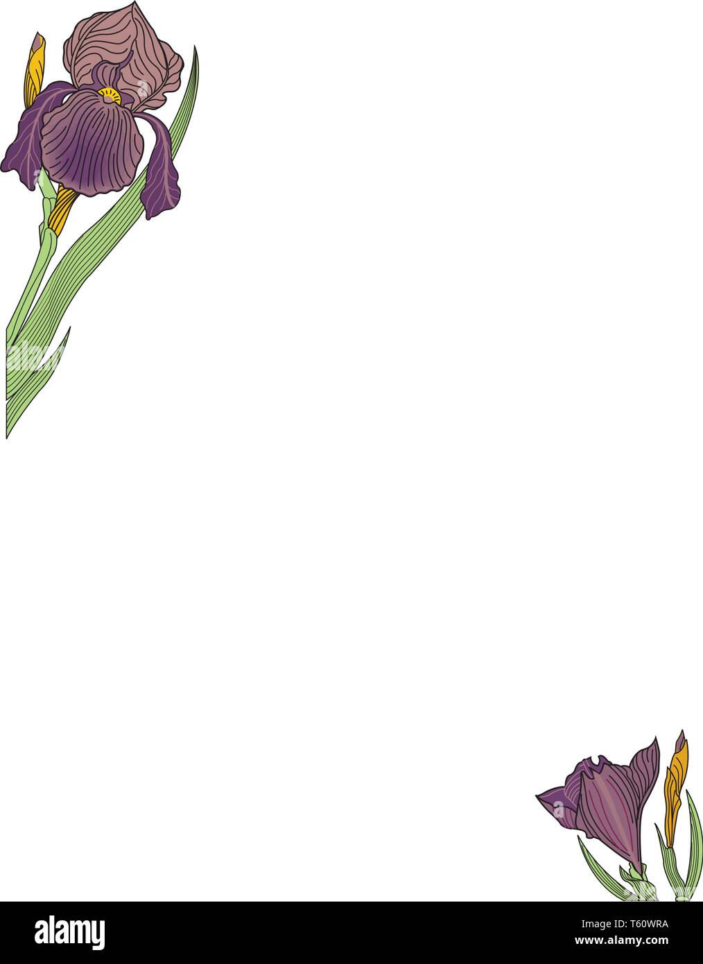Floral Border Vector Illustration Stock Vector Image & Art - Alamy