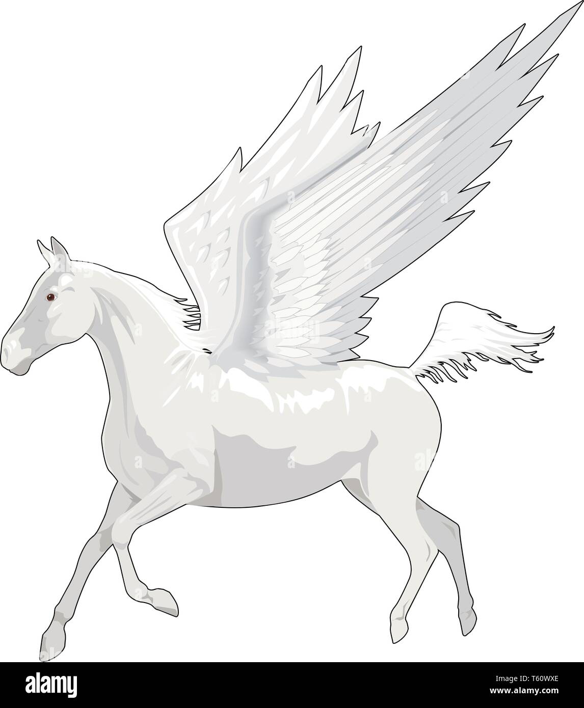 Pegasus Vector Illustration Stock Vector Image & Art - Alamy
