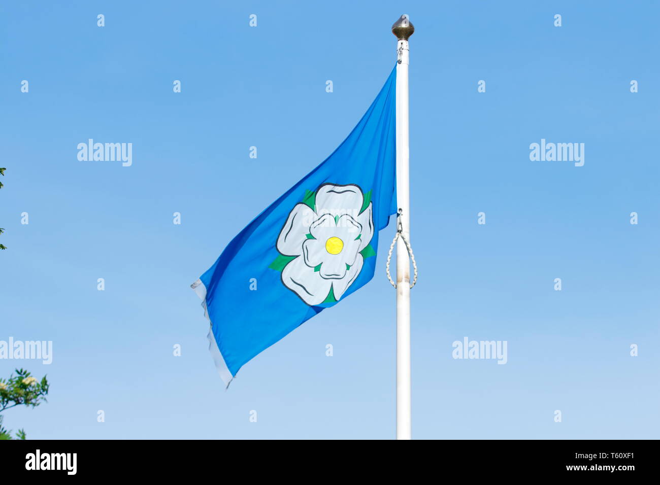 Flag of yorkshire hi-res stock photography and images - Alamy