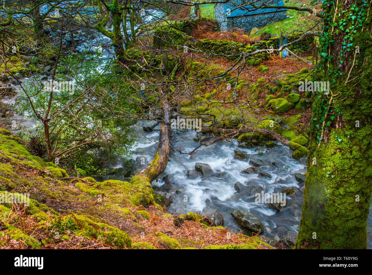 Waterfall green forest river stream landscape, Beautiful natural ...