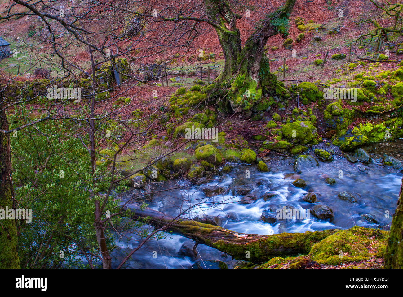 Waterfall green forest river stream landscape, Beautiful natural ...