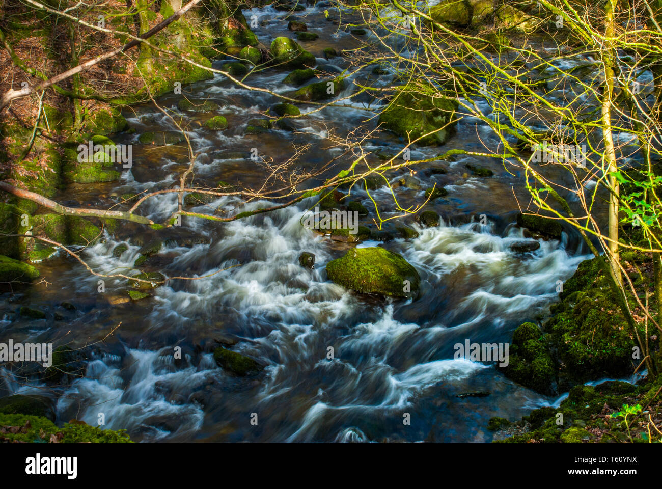 Water streaming through the rocks downhill creating a beautiful small ...