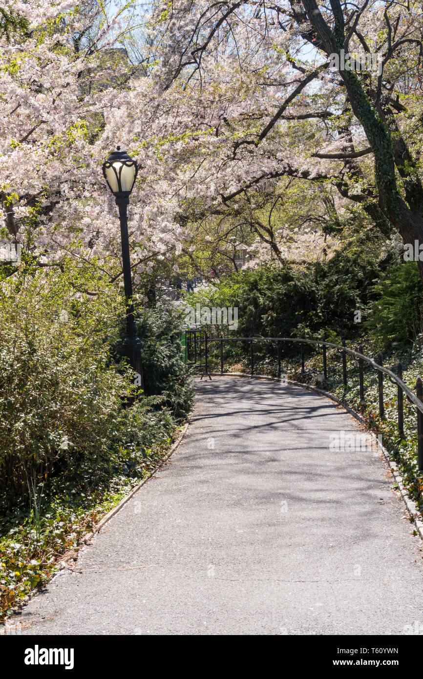 Path pathway central park hi-res stock photography and images - Alamy